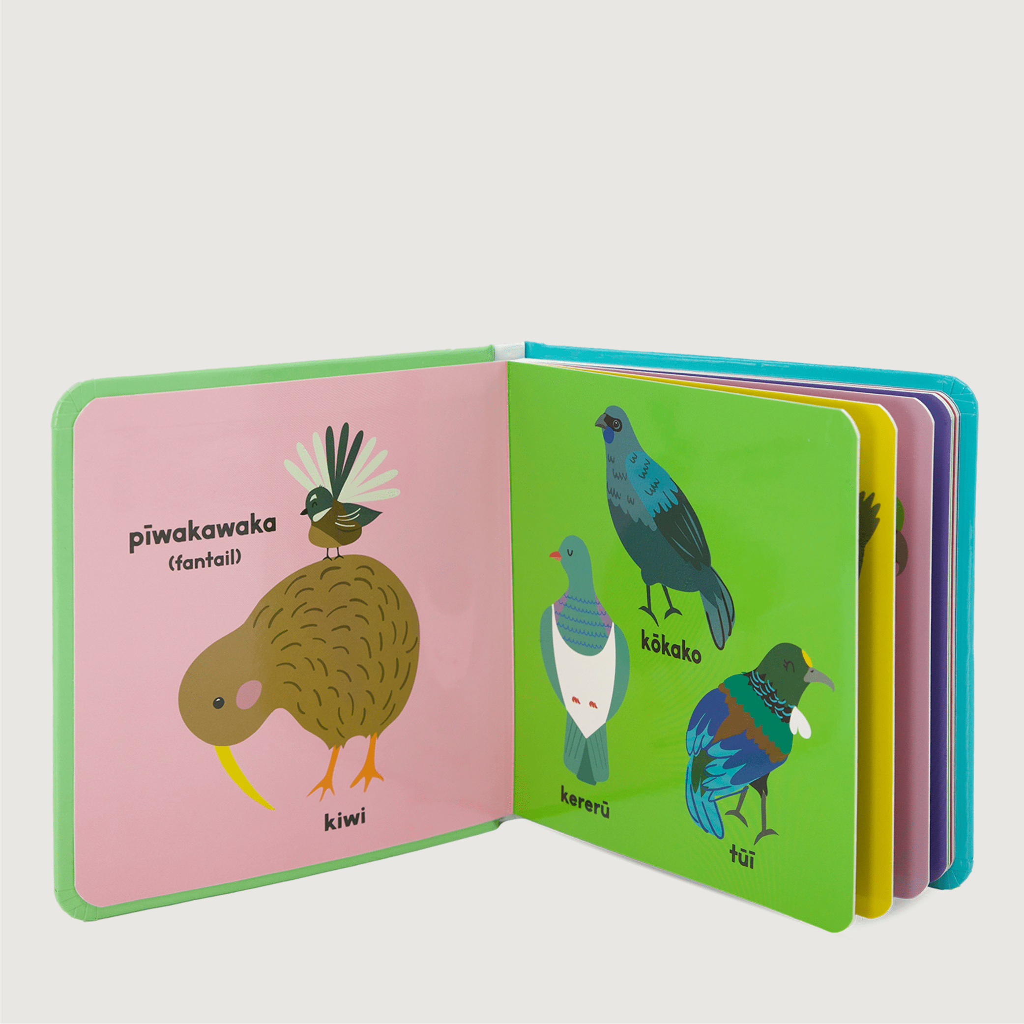 Animals of Aotearoa Book - Moana Road Kids