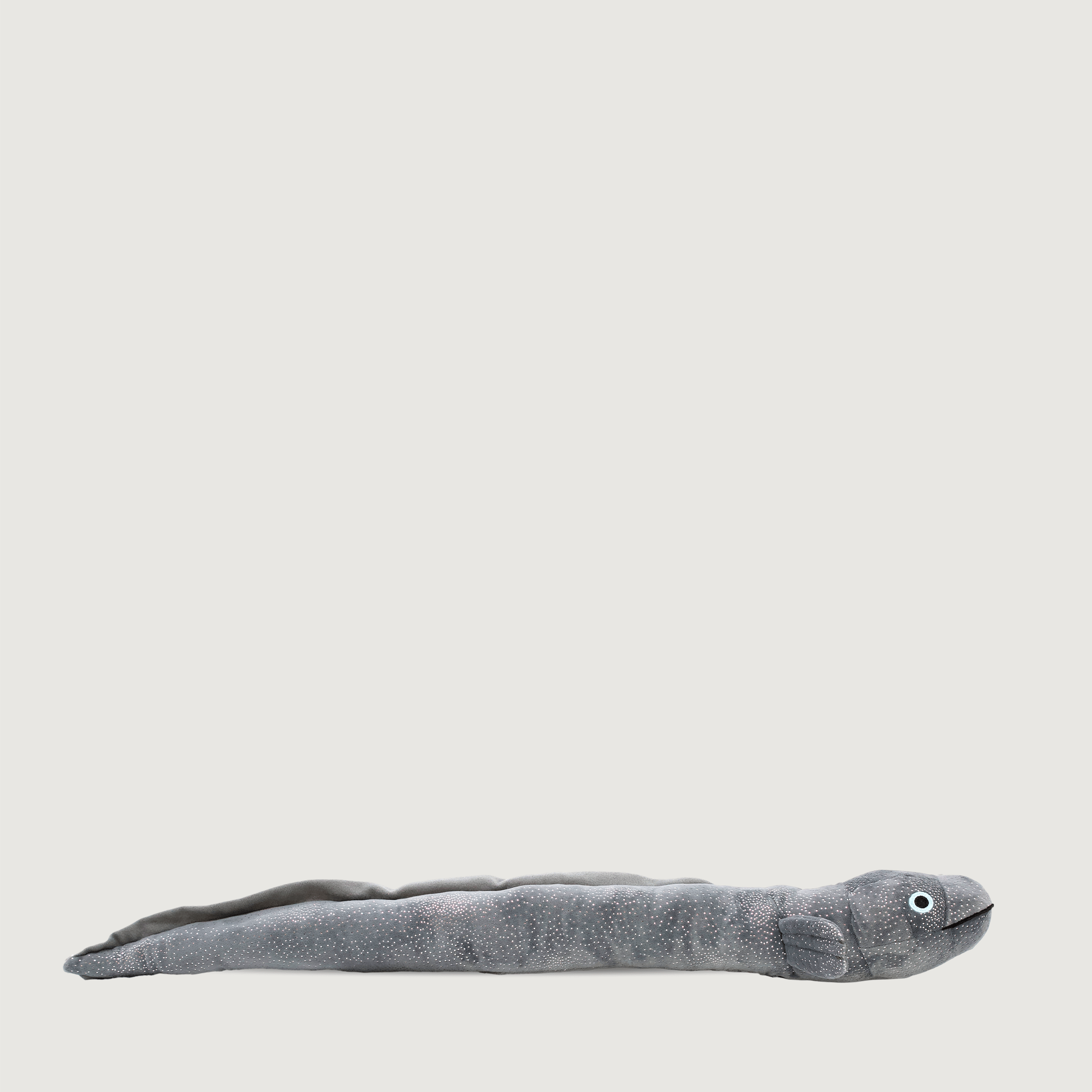 Ellie the Longfin Eel – Moana Road