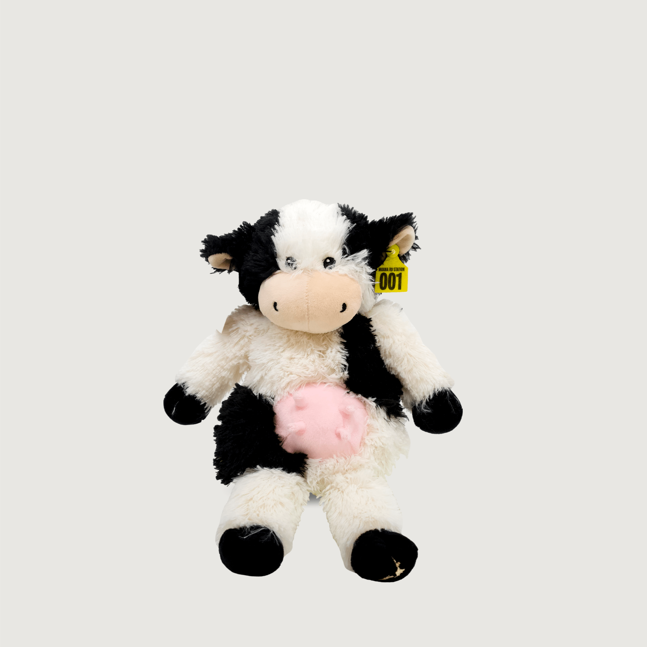 Daisy the Dairy Cow – Moana Road